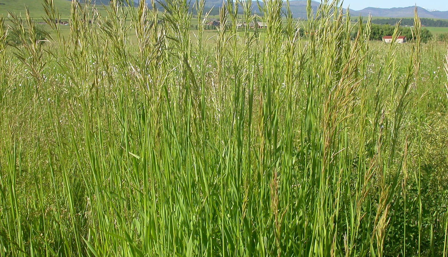 Woodard & Curran Appoints Carol Ann Nash Chief People Officer - Woodard & Curran