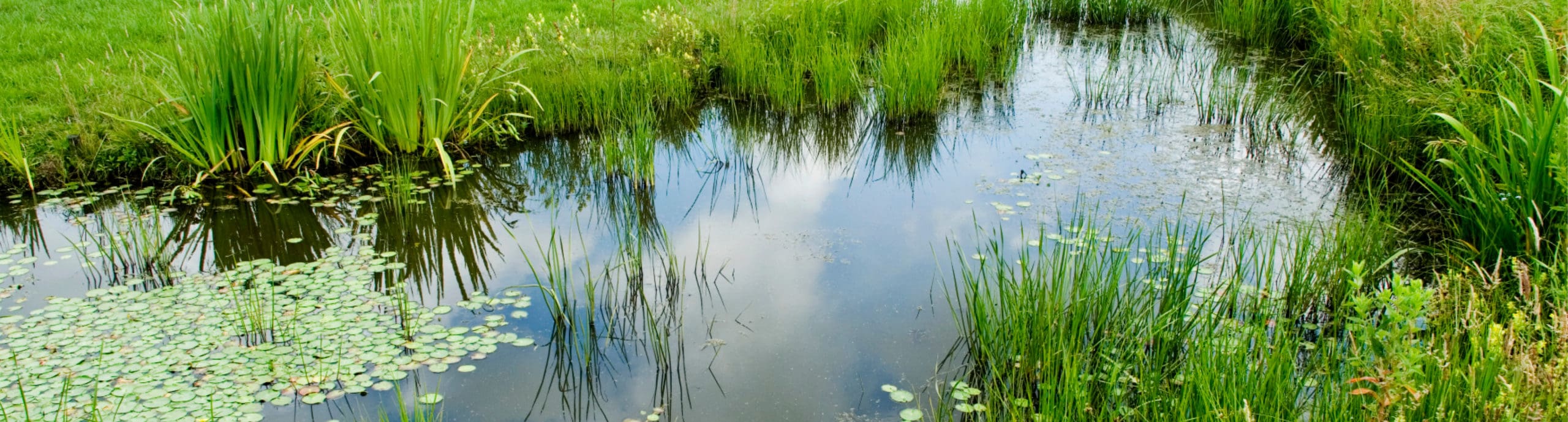 The Ebb and Flow of Waters of the United States: A Look at the Latest ...