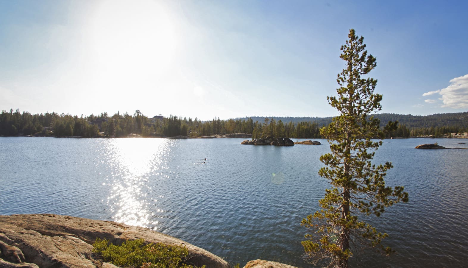 Steven McCurdy Appointed NEIWPCC Commissioner - Woodard & Curran