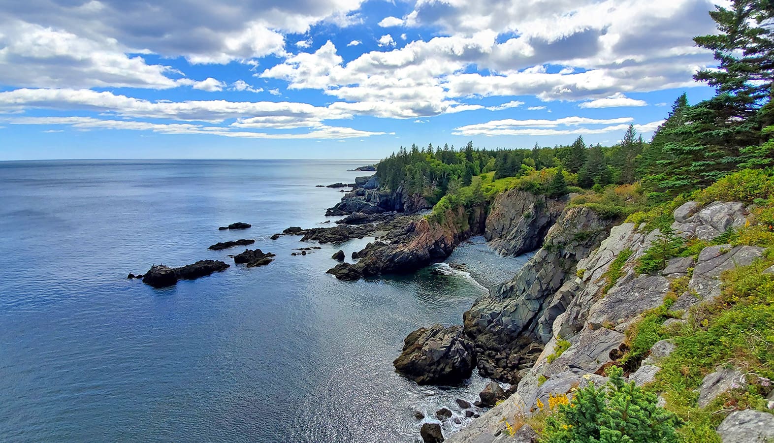 Ownership - Woodard & Curran